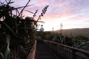 About - Counties Energy