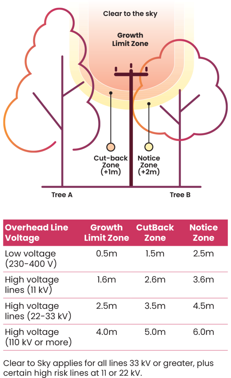 Trees near power lines - Counties Energy