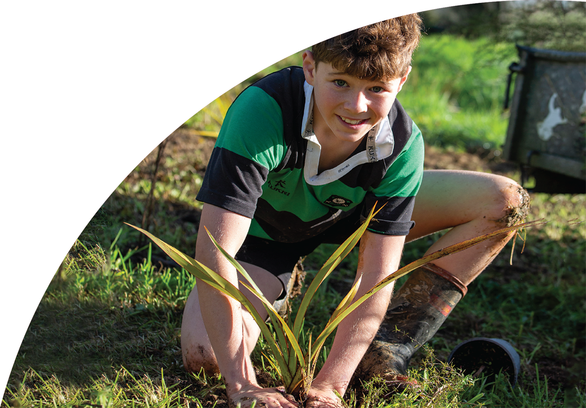 Homepage - Counties Energy